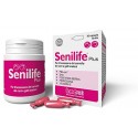 Innovet Senilife Plus helps aging in elderly dogs and cats |Paco