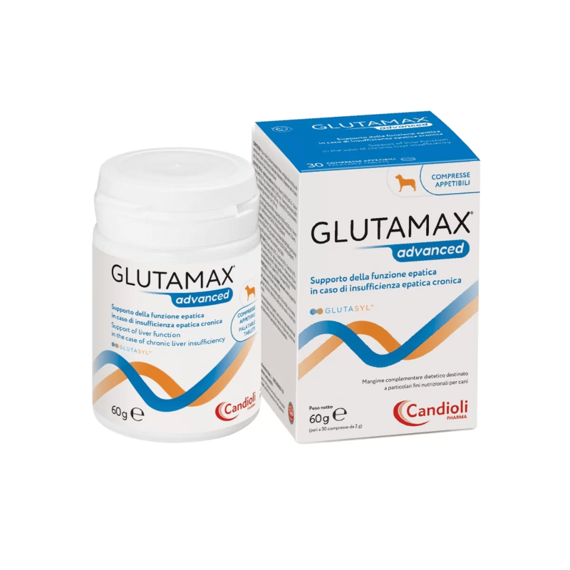 Candioli Glutamax Forte for dogs and cats with liver failure