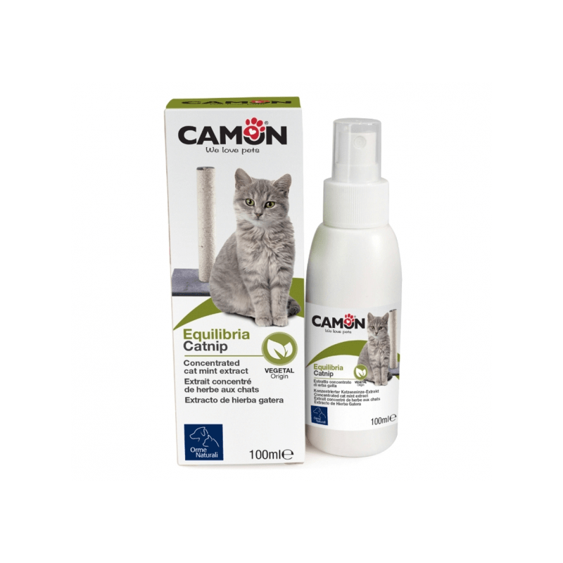 Catnip Natural Attractive Spray for Cats | PacoPetShop