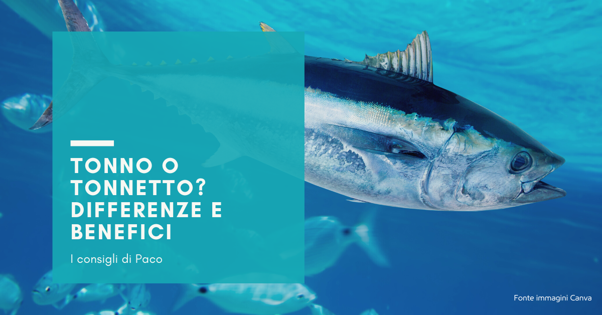 TONNO E TONNETTO: DIFFERENZE E BENEFICI PER CANE E GATTO